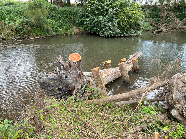 Peel River re-snagging shortlisted for NSW water awards - WaterNSW