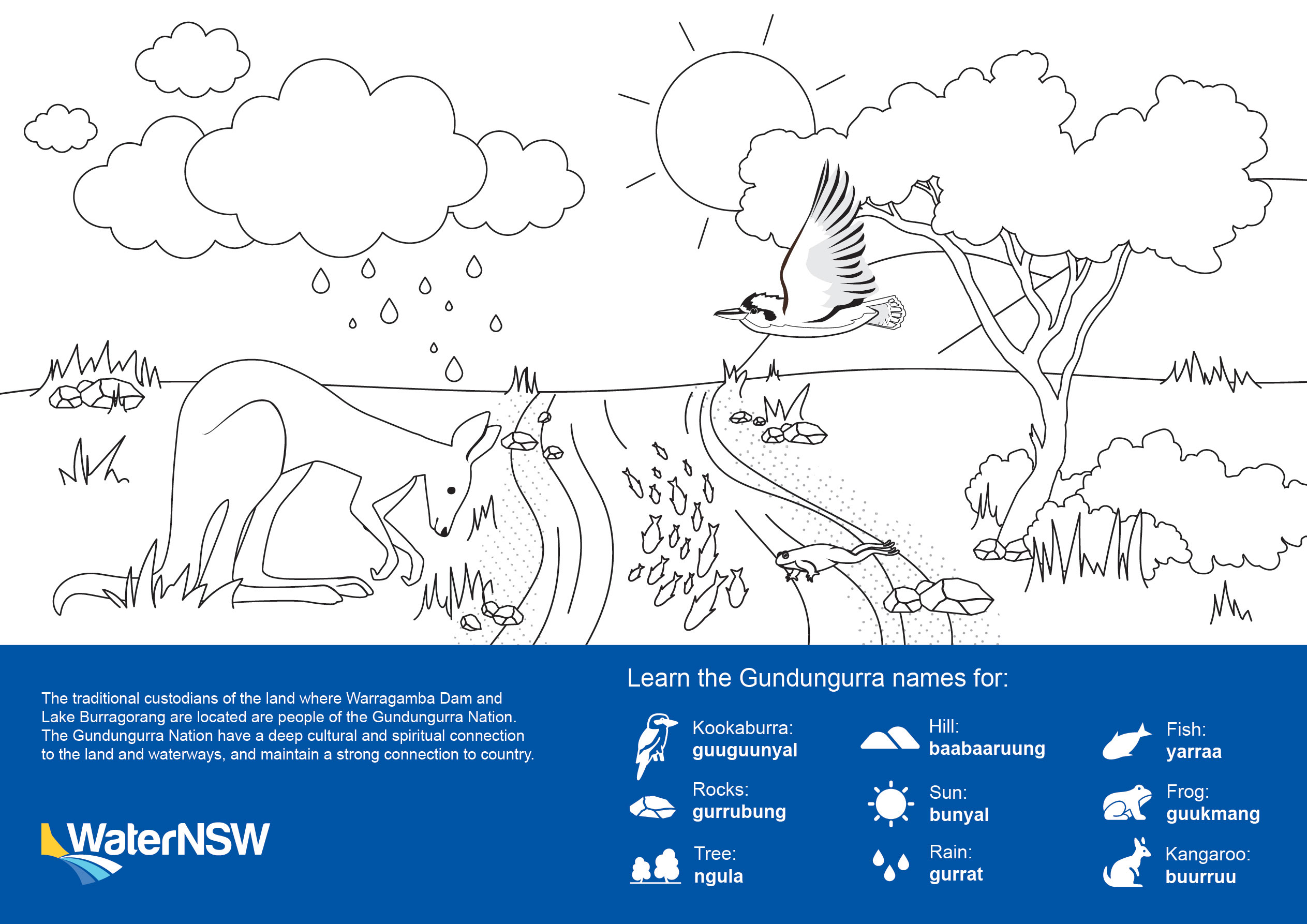 Fun activities - WaterNSW